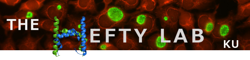 Publications – Hefty Lab