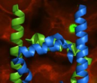 Hefty Lab – Hefty Research Program at KU