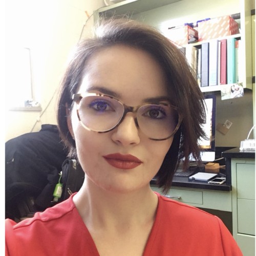 Team Hefty – Hefty Lab